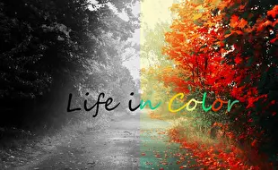 Life in Color - скачать - RPG Maker Union